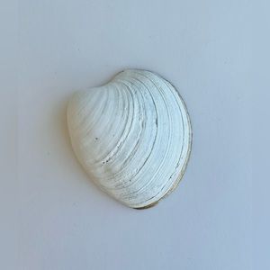 Hand Crafted | Accents | Handmade Clam Shell Ring Dish With Hydrangea ...